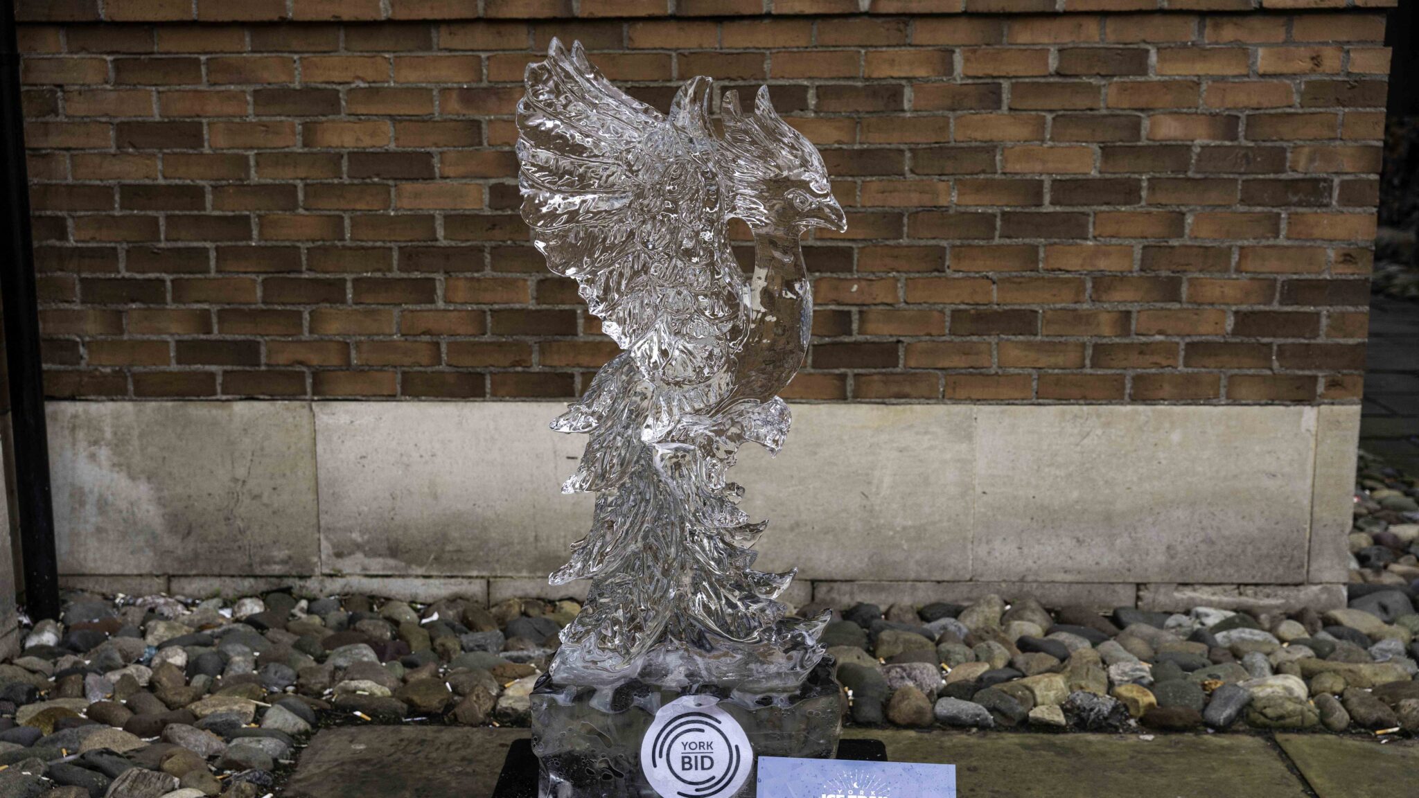 York Ice Trail - The York BID